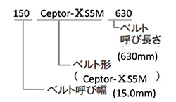 Ceptor®-Ⅹのラインアップ